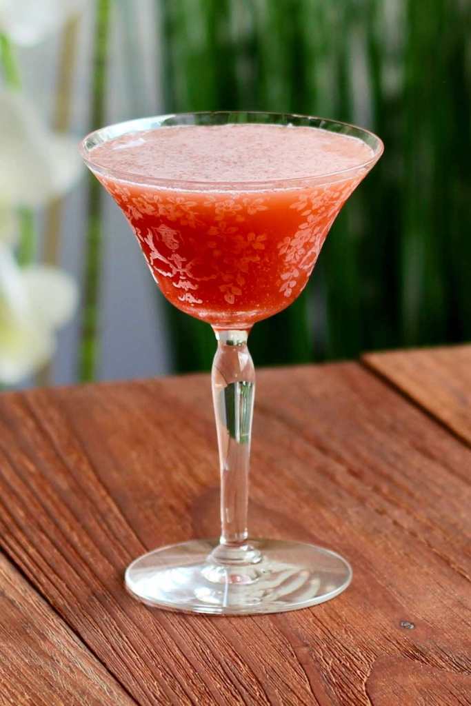 Algonquin - Recipe & History - Vintage American Cocktails